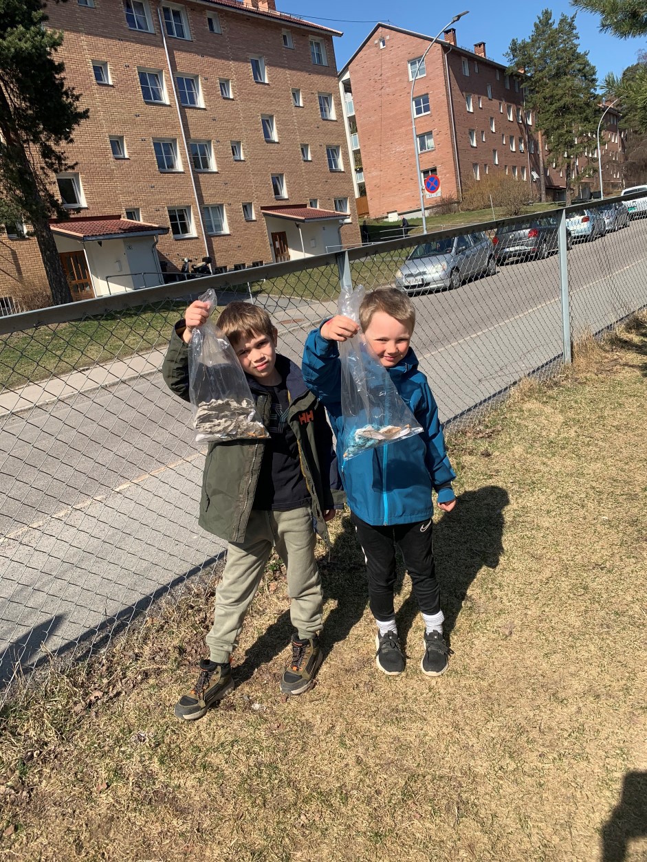 Skogrusken-aksjonen